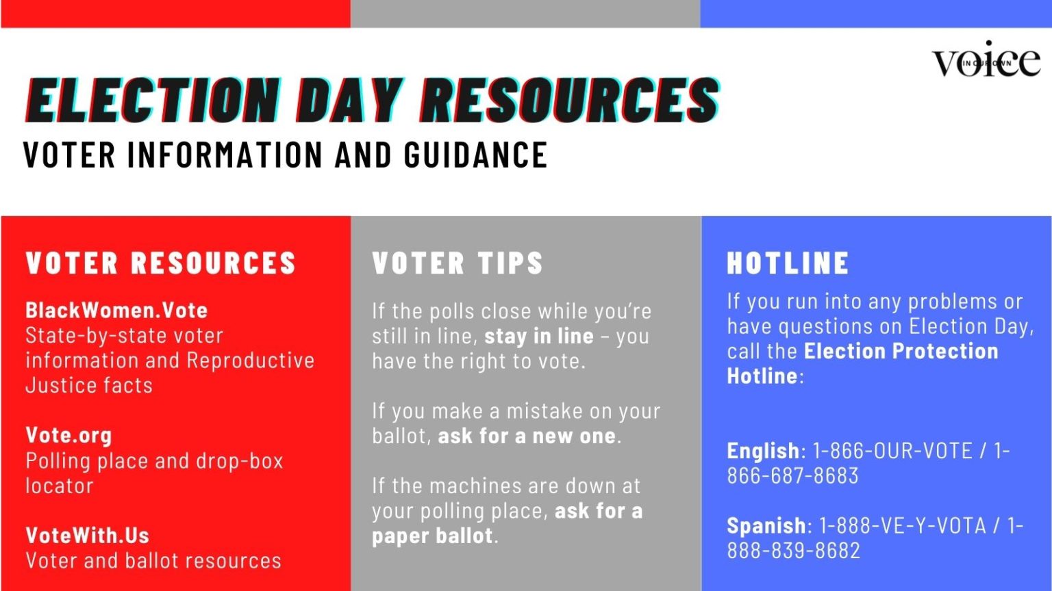 6 Ways to Protect Yourself While Voting & Organizing - In Our Own Voice