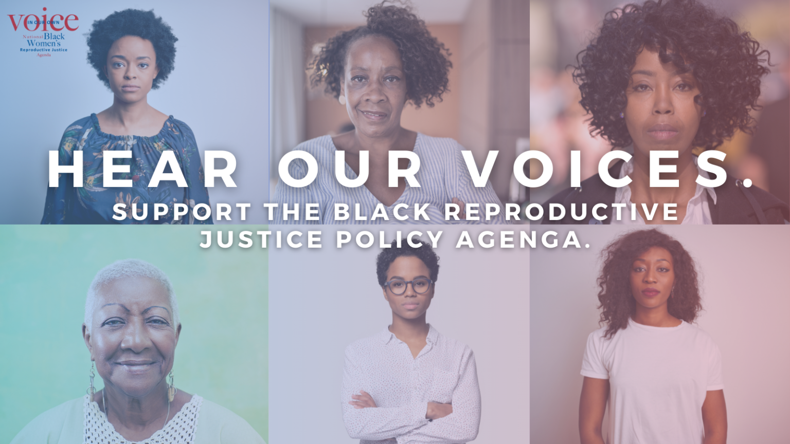 In Our Own Voice: National Black Women’s Reproductive Justice Agenda ...